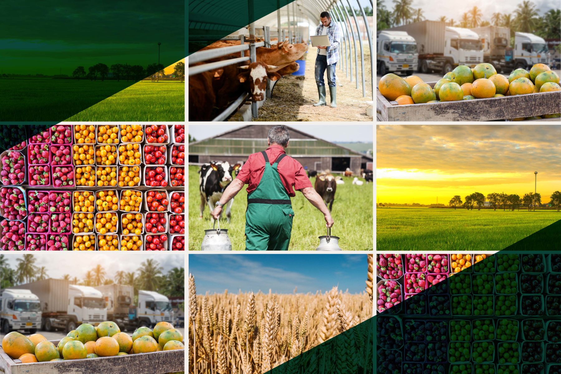 Governments Must Act Now To Strengthen Canada s Food Supply Chain governments-must-act-now-to-strengthen-canada-s-food-supply-chain